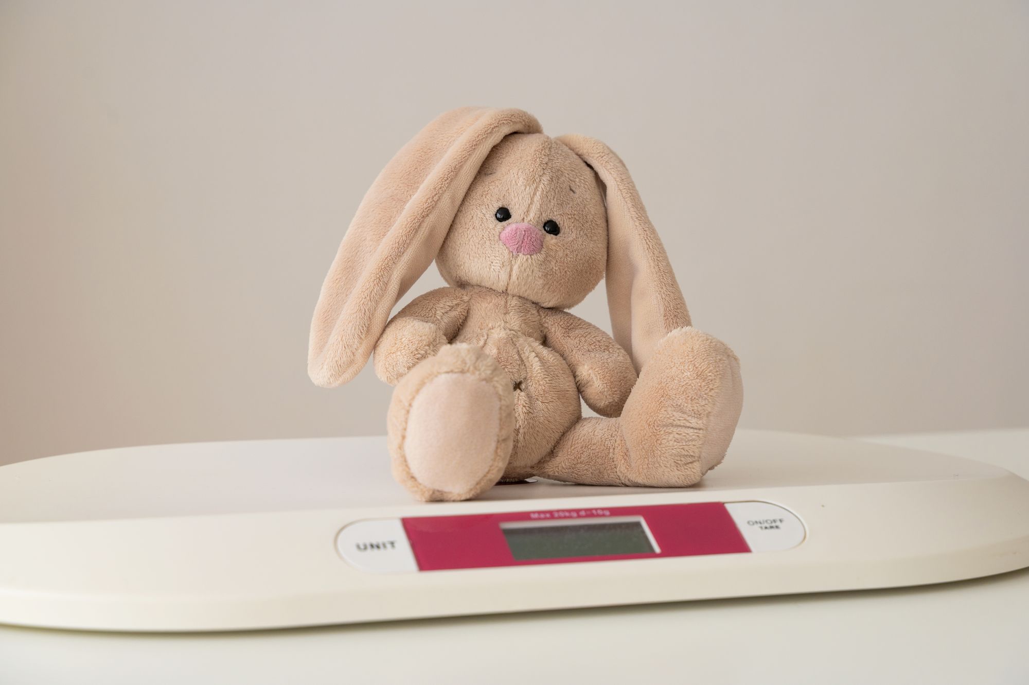 Check Out The 6 Best Baby Scale For Your Little One 2023