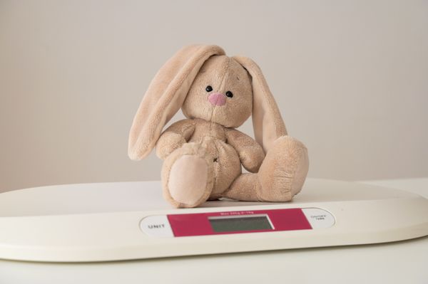 Check Out The 6 Best Baby Scale For Your Little One 2023